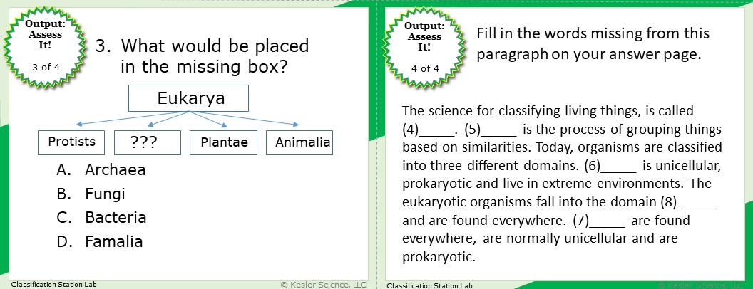 Classification Lesson Plan – A Complete 5E Method Science Unit